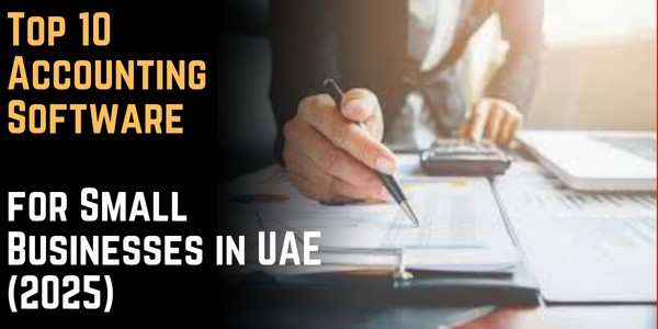Top 10 Accounting Software for Small Businesses in UAE (2025 ...